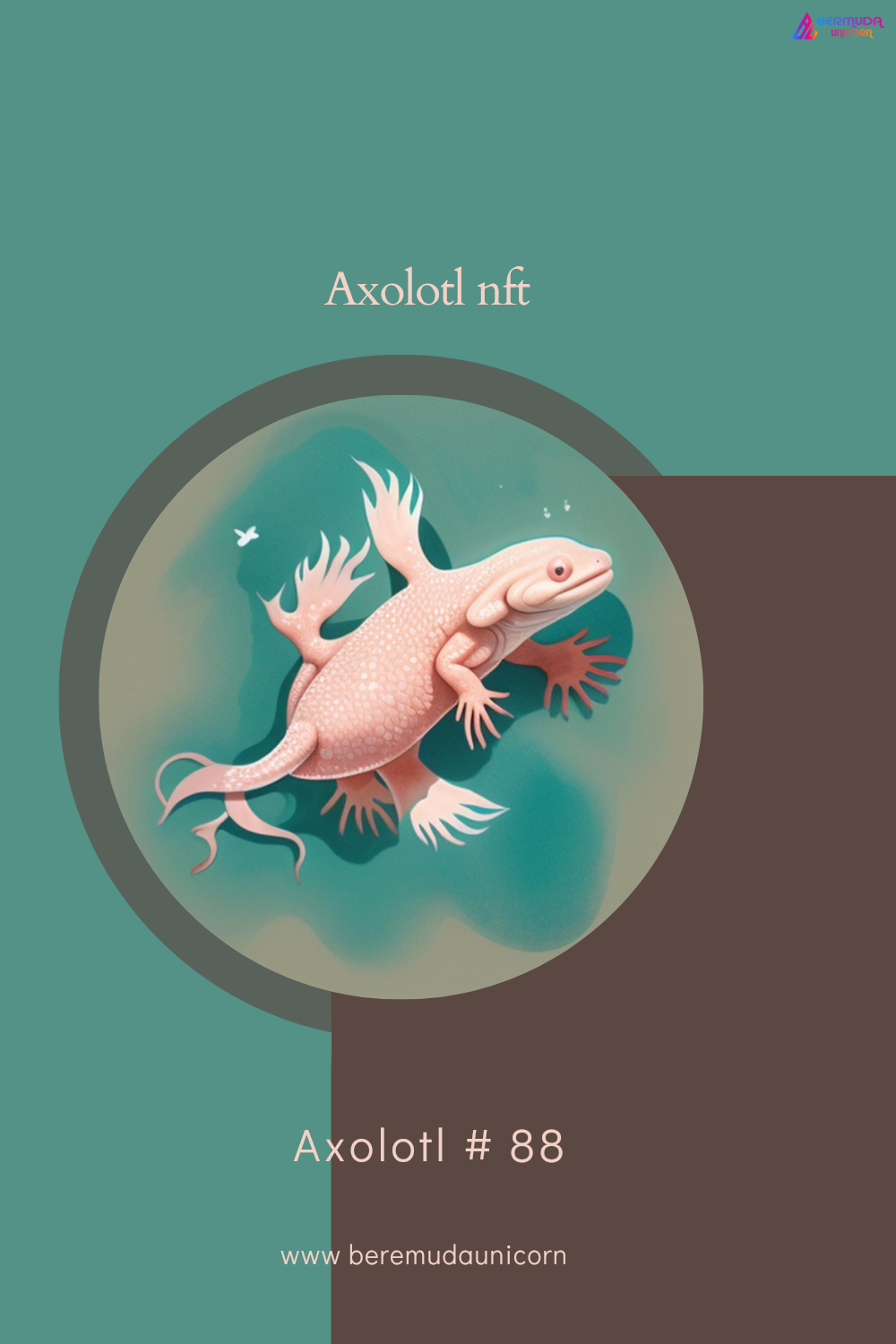 Axolotl Axolotl: Celebrate the wonder of nature with this NFT featuring ...