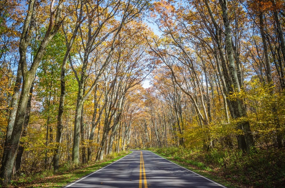 Uncovering the Beauty of the Shenandoah Valley and Skyline Drive Scenic ...