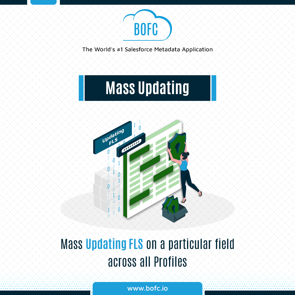 Update “Field Permissions” for Multiple Objects for Multiple Profiles | by Bulk Object Field ...