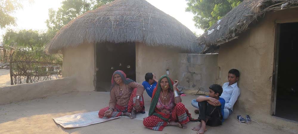 Experience the Heart of Rajasthan: Bishnoi Village Safari, Desert ...