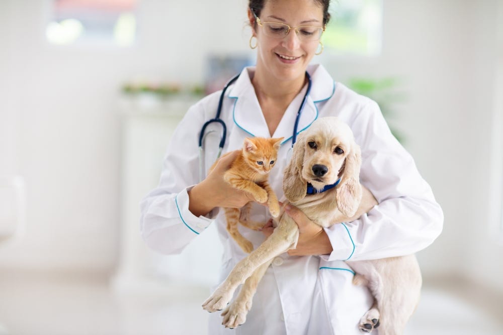 How Our Veterinary Services Keep Your Pets Happy and Healthy | by ...