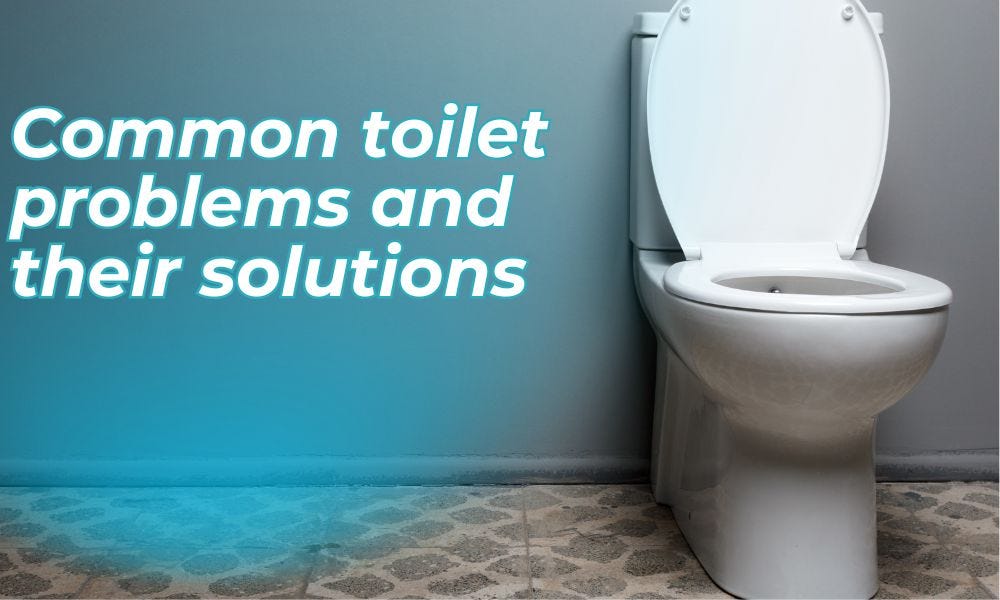 Common Toilet Problems And Solutions - DwellHack