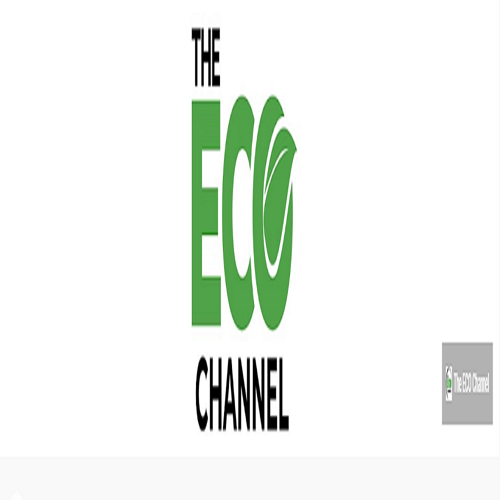 The ECO Channel: Regenaissance Summit - Louis expert - Medium