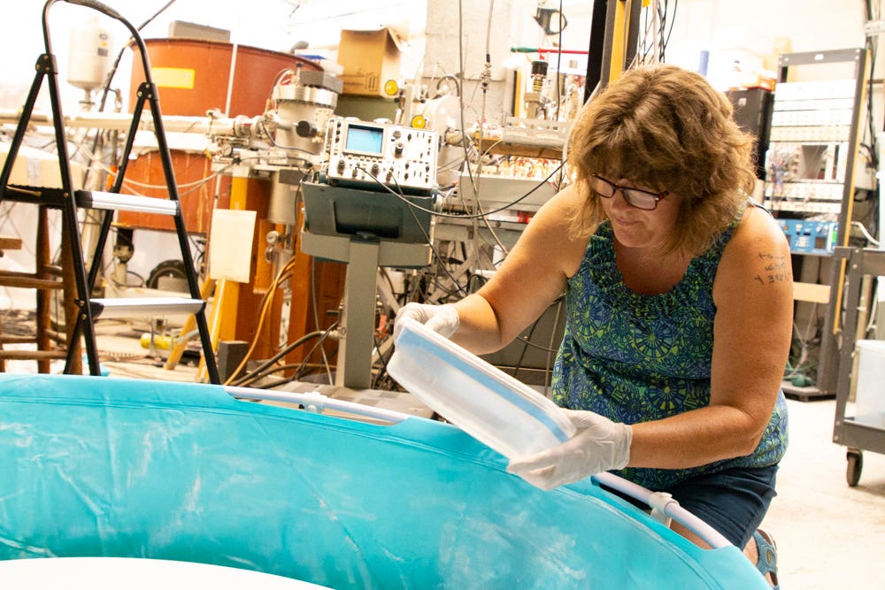 Ants and Science: A Teacher Spends Two Summers in the Lab | by Denise E. Silfee | Medium
