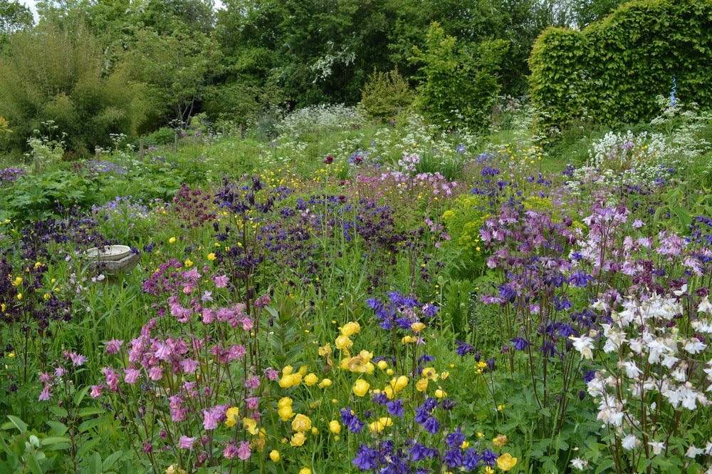 From the Landscape Designer: How to Scale A Landscape | by Brick ...