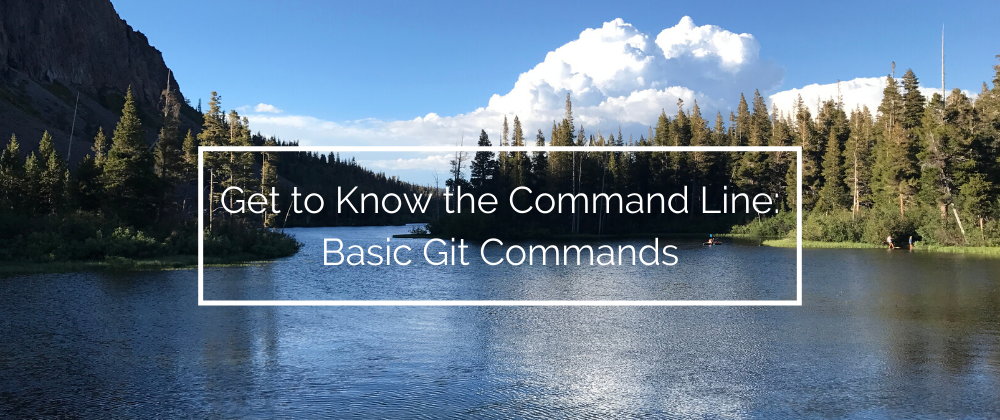 Get to Know the Command Line: Basic Git Commands | by Victoria Fluharty ...