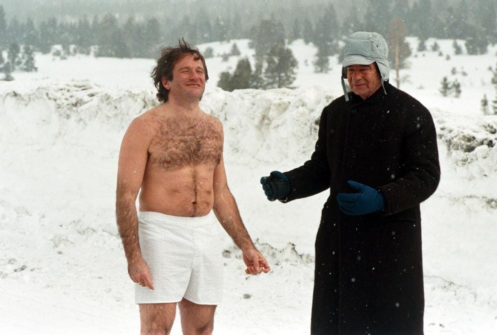 A Forgotten Robin Williams Movie Deserves More Attention | by Otis ...