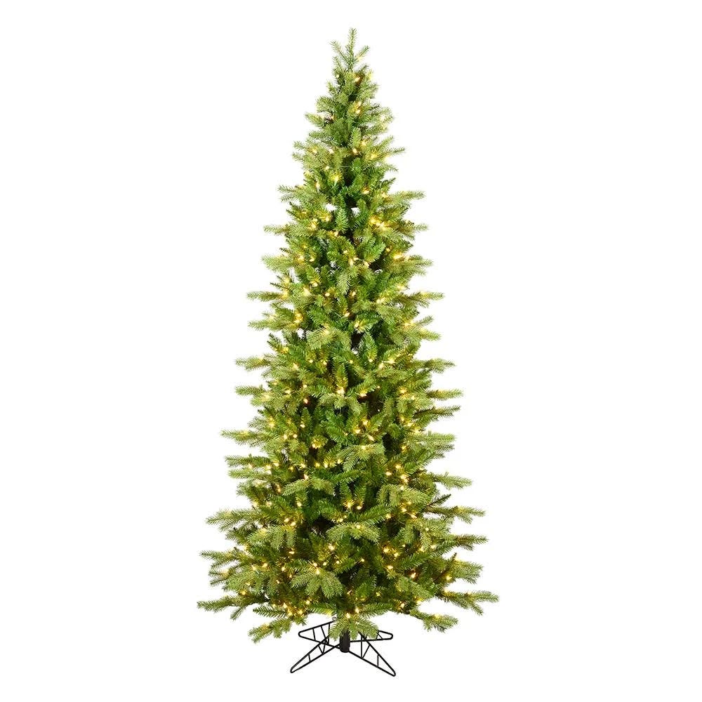 balsam trees. Welcome to our roundup of the top… | by Cameron Morrison ...