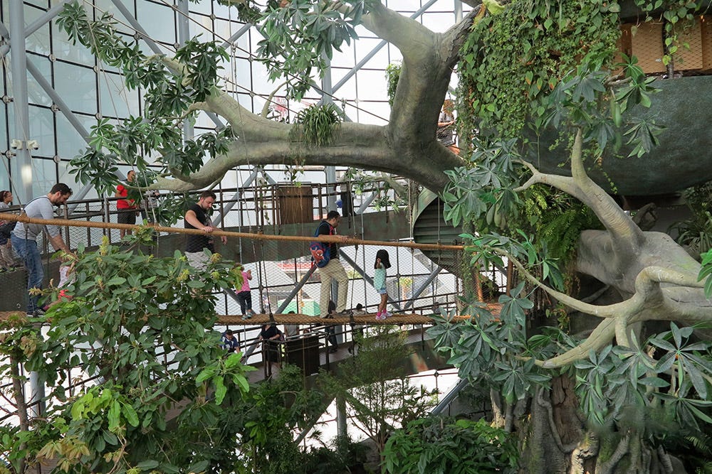 Why Green Planet Dubai is a Must-Visit Destination for Nature Lovers: A ...