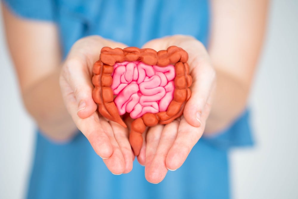 The science of gut health (and why it’s important) | by Belén Fortes ... The science of gut health (and why it’s important) | by Belén Fortes ...