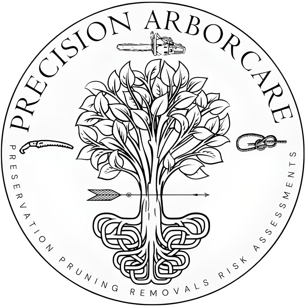 Precision Arborcare - Precision Arborcare - Medium