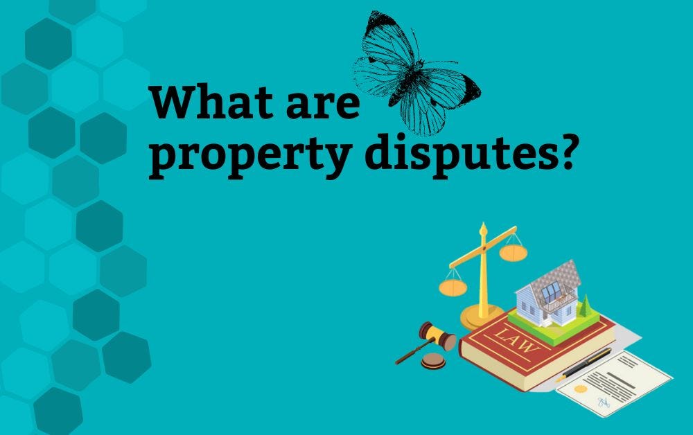 What are Property Disputes? - Deal Acres - Medium