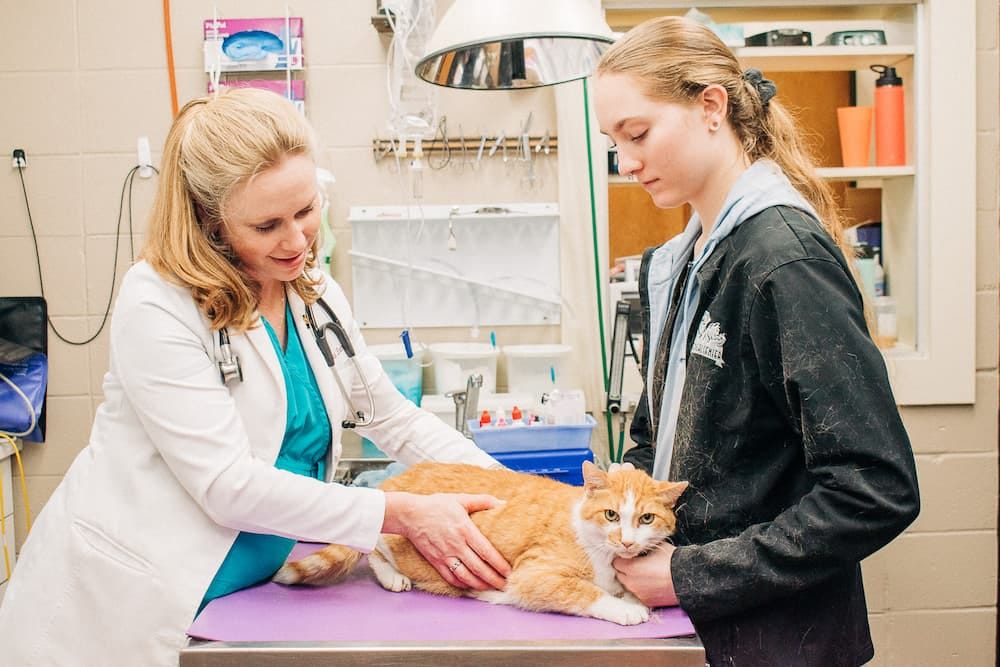 The Future of Animal Wellness: Key Drivers and Trends Propelling the ...