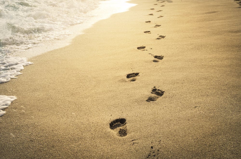 FOOTSTEPS CROSSED THE HALL. Grahl could still hear his steady… | by ...