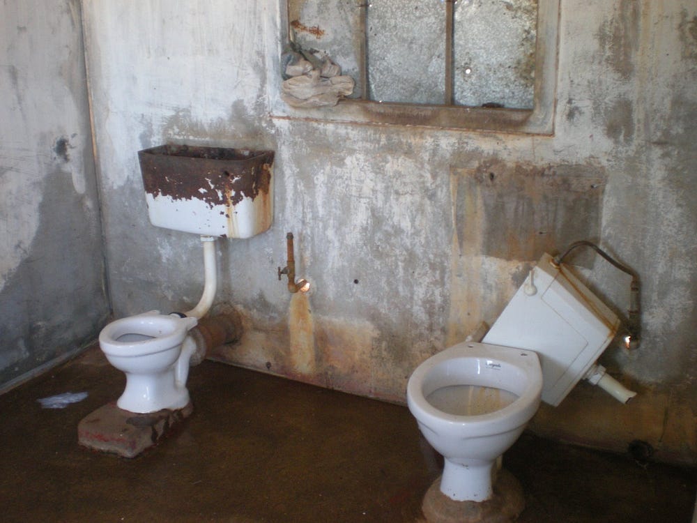 The Toilet Of The Damned First Musician Whereby Hangs A Tail By Luke Oneil Medium