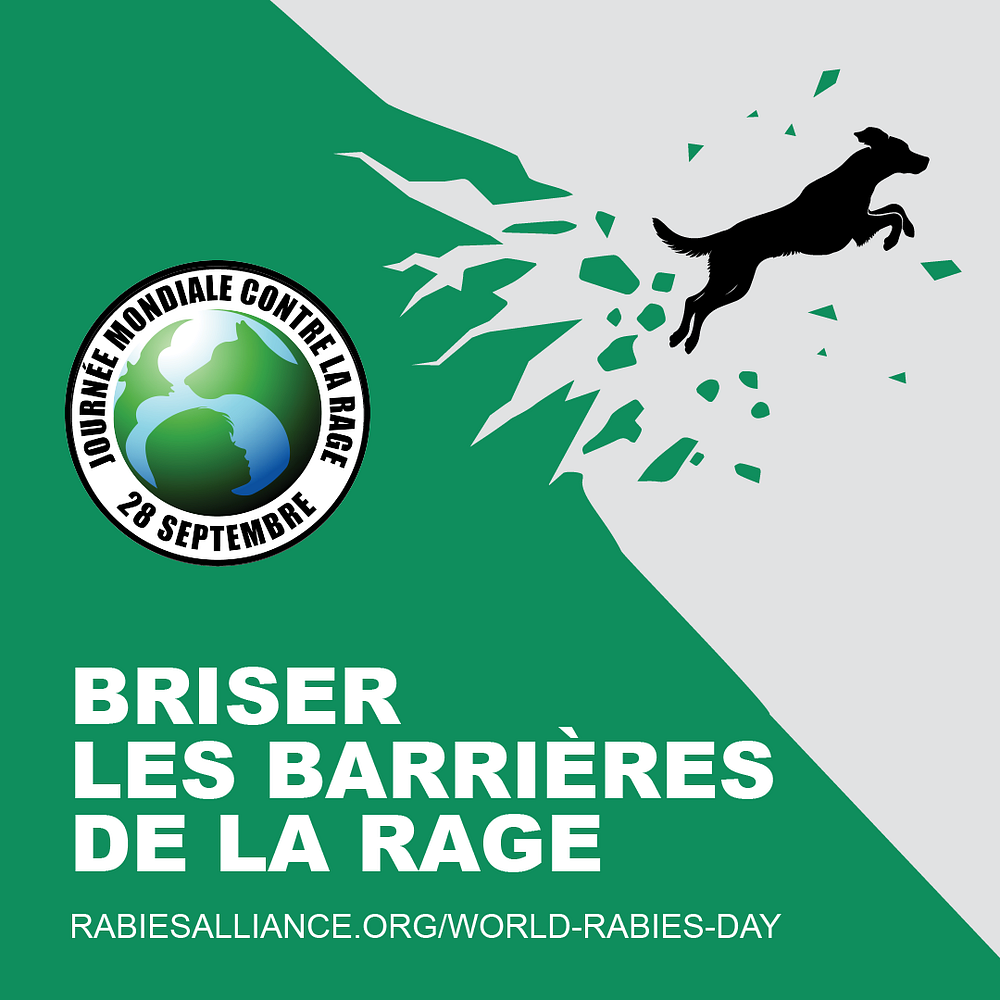 1000 Word Essay on World Rabies Day in English For Students And ...