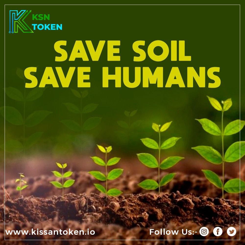 Avoid overgrazing your land to reduce soil erosion | by KSN Token | Medium