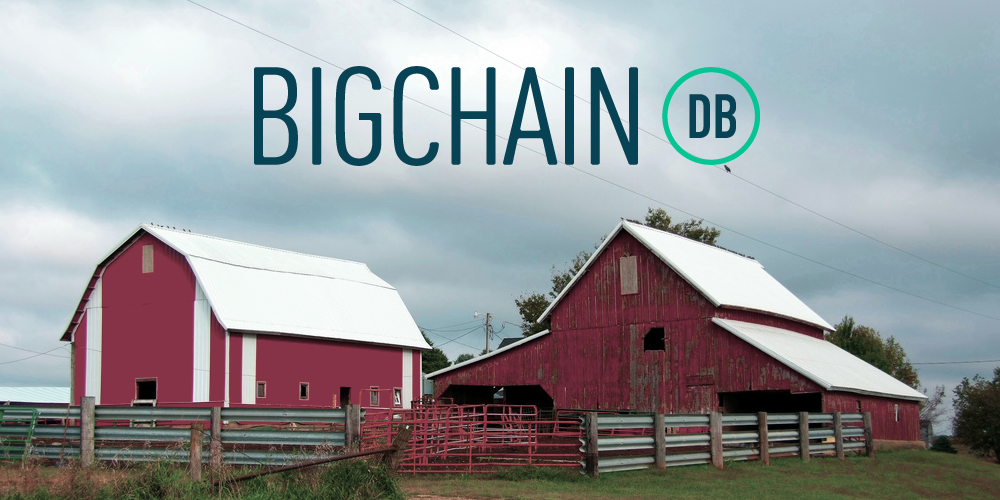 BigchainDB: A hands-on approach. A small tutorial that should get you… | by Artus Vranken ...