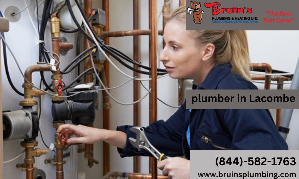 Plumber in Lacombe - Bruin's Plumbing & Heating Ltd - Medium