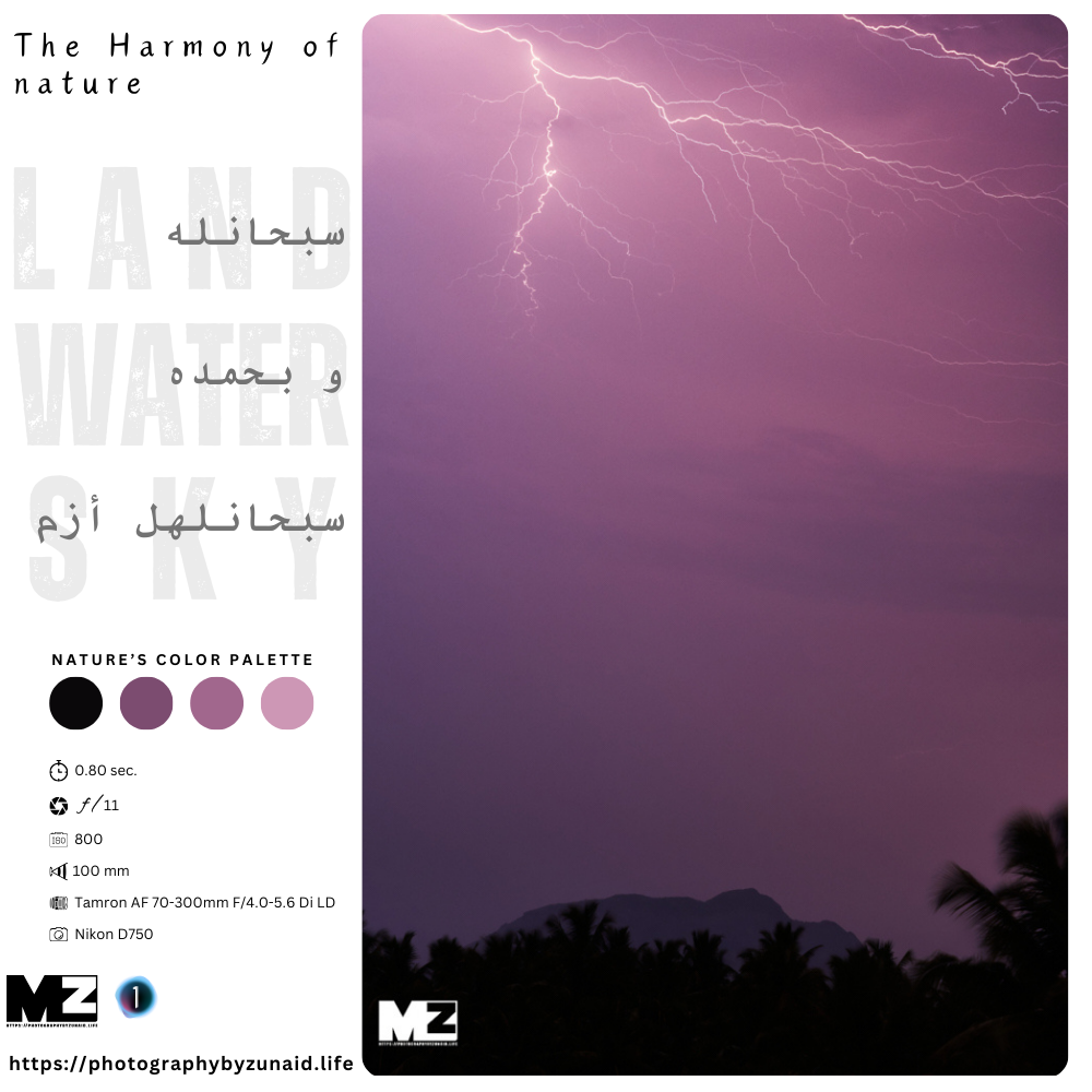 Nature Color Palette #21. In the bewitching theater of the night… | by ...