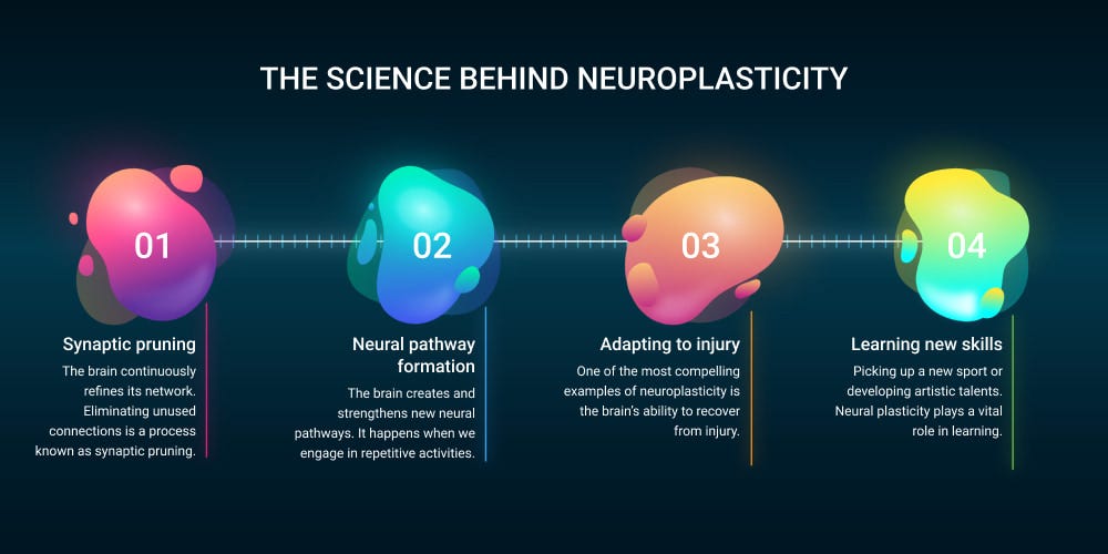 Silicon vs. Synapse: Rethinking Brain Signals Through a Computational ...