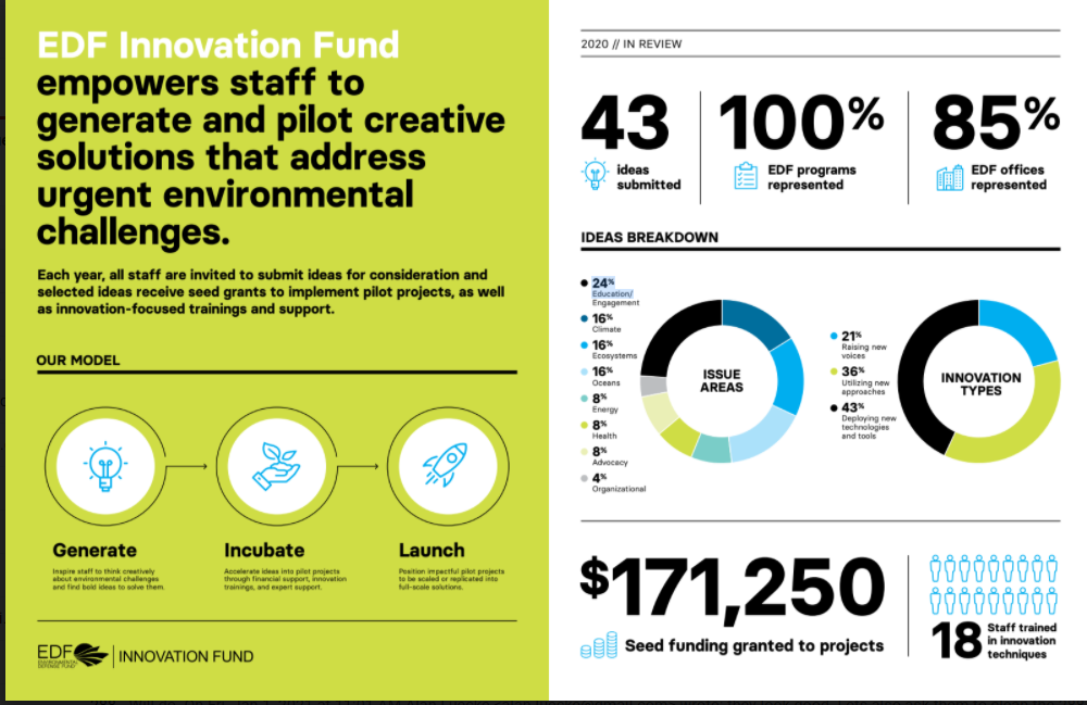 4 guiding principles to foster environmental innovation | by ...