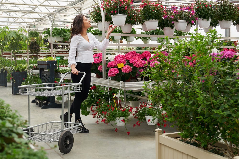 Best Online Garden Store. When it comes to nurturing a beautiful… | by ...