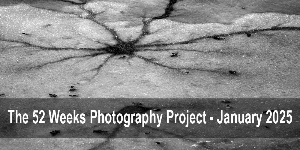 52 Weeks Photography Project — January 2025 | by Iban Van der Zeyp ...