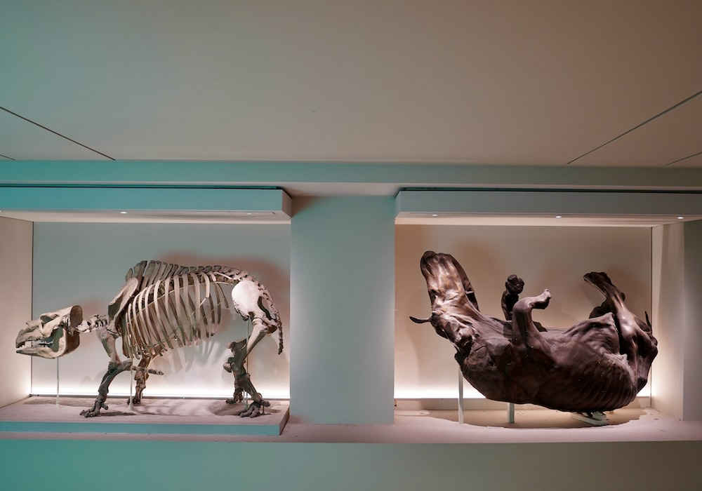 A Guide to Preventing Freezer Burn When Storing Preserved Samples | by ...