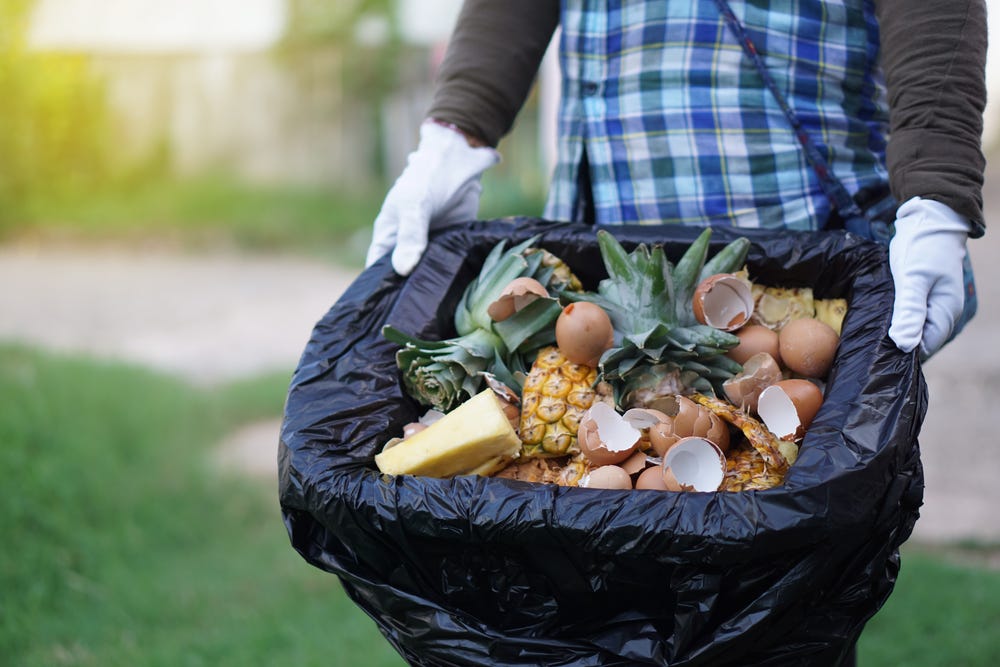 Tackling Food Waste: A Guide to Food Waste Collection Services | by ...