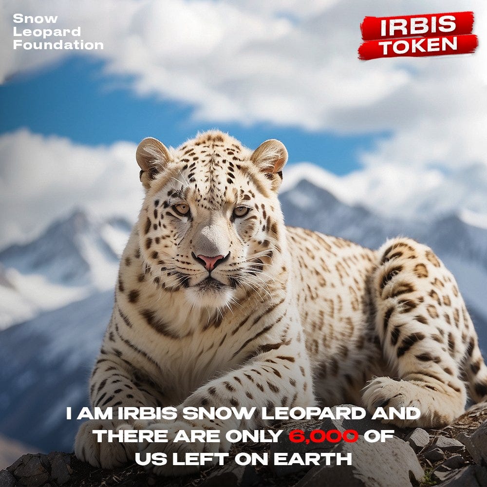 IRBIS Token: Using Crypto Innovation to Strengthen Conservation | by Ms ...