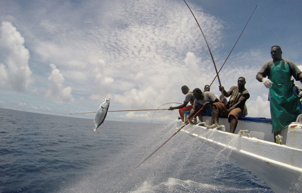 Pacific Community (SPC) Oceanic Fisheries Programme completes record ...