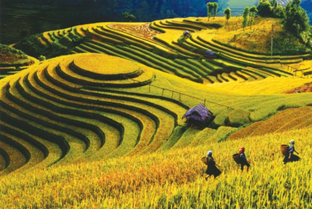 Exploring the spectacular beauty of Yen Bai, Where to visit? | by ...