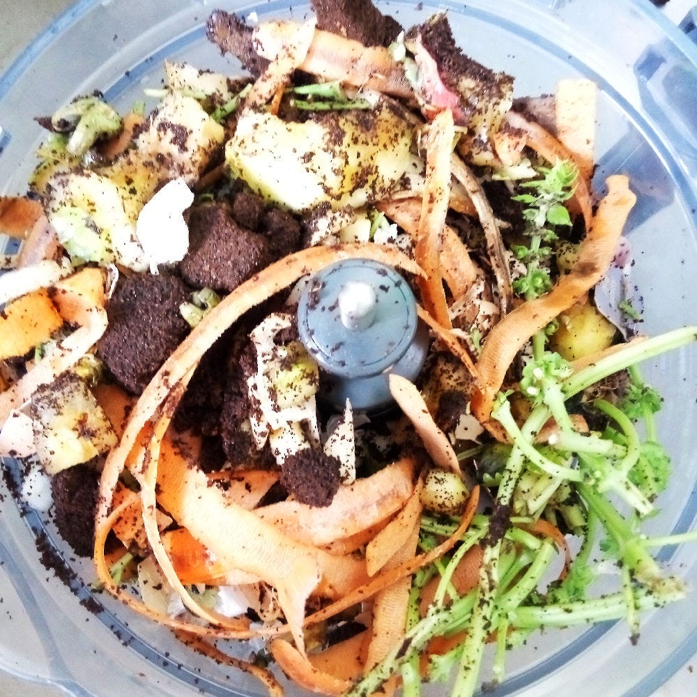 Feeding worms. Worms’ place in the ecosystem is… | by Vermicomposter ...