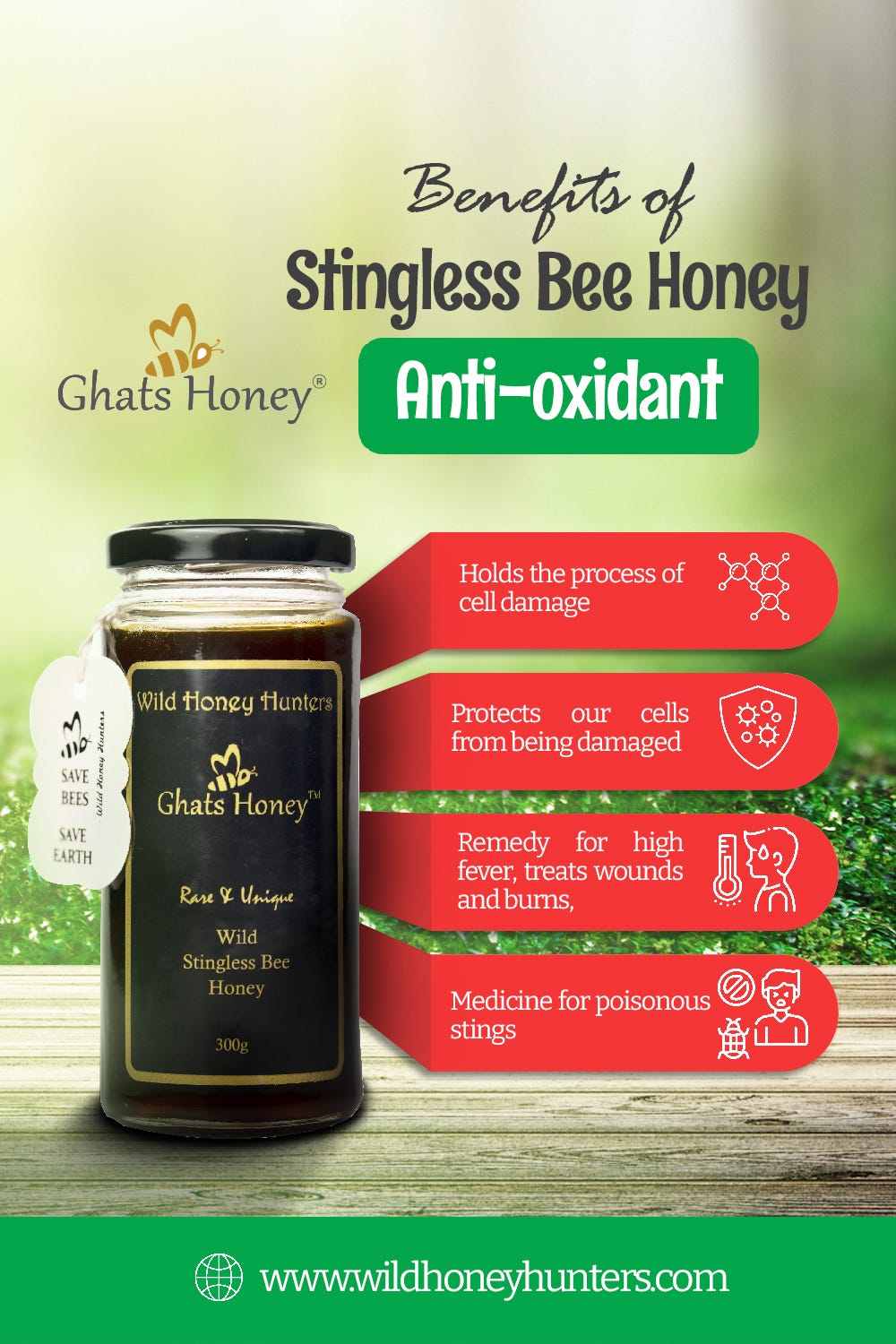Benefits of Stingless bee honey- Antioxidant - Wild Honey Hunters - Medium