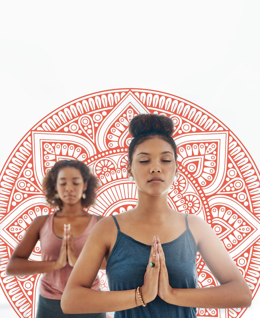 The Present Souls of Meditation. Our new discipline has just arrived at ...