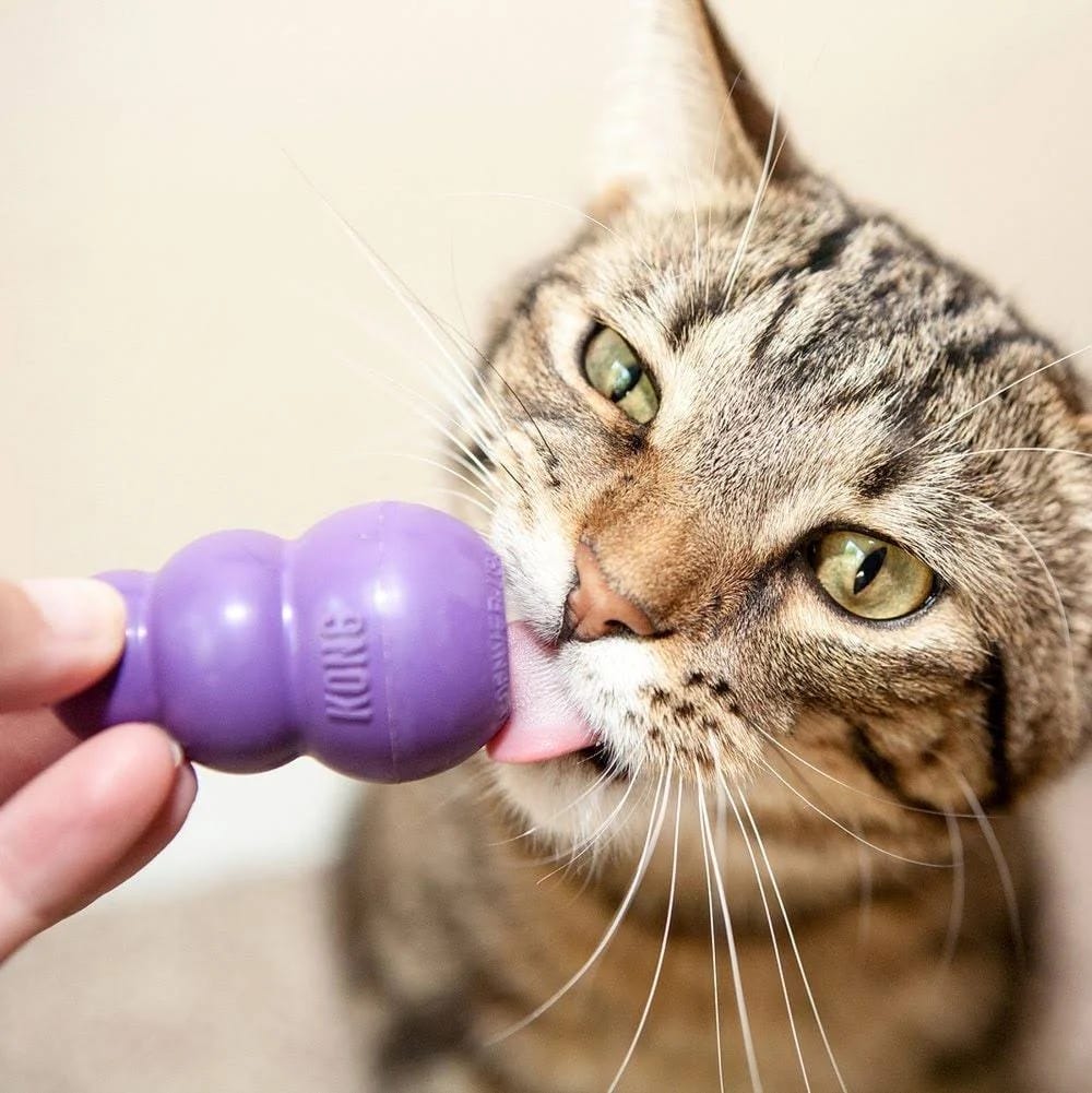 Cat KongsBest Cat Kongs. Welcome to our roundup of the best… | by Maria ...