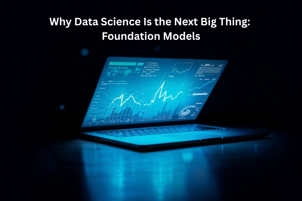 Why Data Science is the Next Big Thing: Foundation Models | by Meena ...