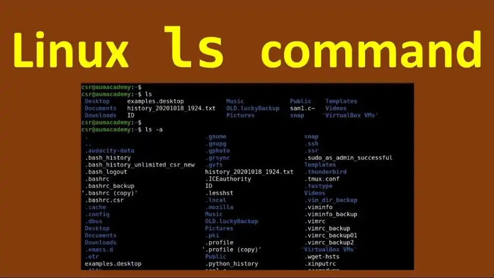 What happens when you type ls *.c and hit Enter in your shell. | by Arzu Mirzabayova | Oct, 2023 ...