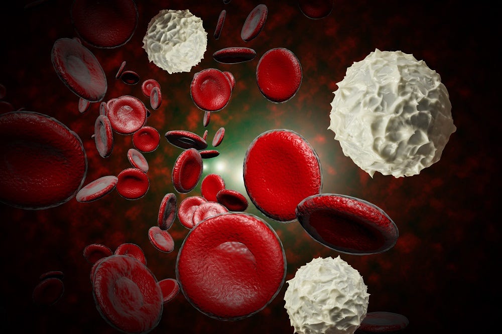 The Effect of Transfer Factors on the Immune System | by The Everyday ...