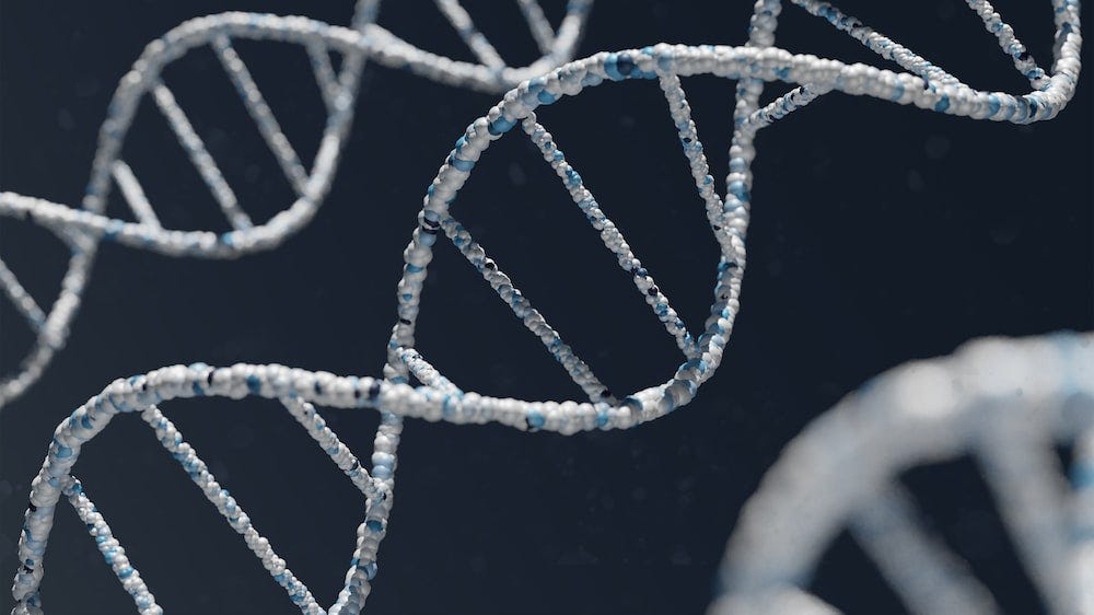 Decoding Life’s Blueprint: The Remarkable Journey of DNA Replication | by Gowri Thaneshan | Medium