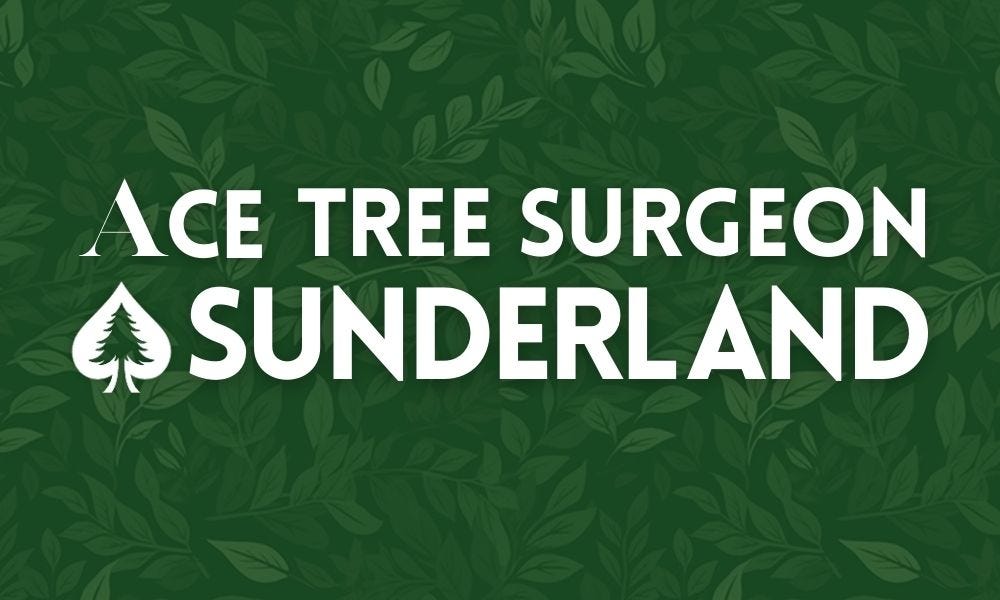 Ace Tree Surgeon Sunderland. Adress: | by Ace Tree Surgeon Sunderland ...