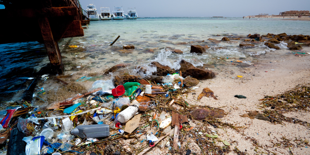 Essay on Environmental Pollution: A Global Threat to the Earth’s Health ...