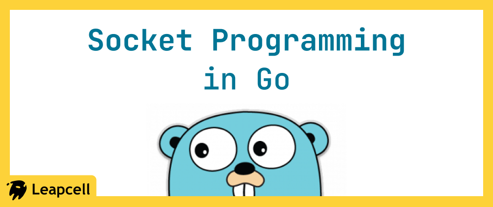 Socket Programming in Go. Introduction to socket programming in… | by ...