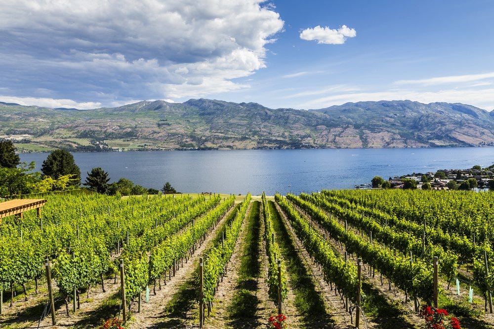 Liquid Landscapes: Regional Terroir in Cocktail Design | by Martnez ...