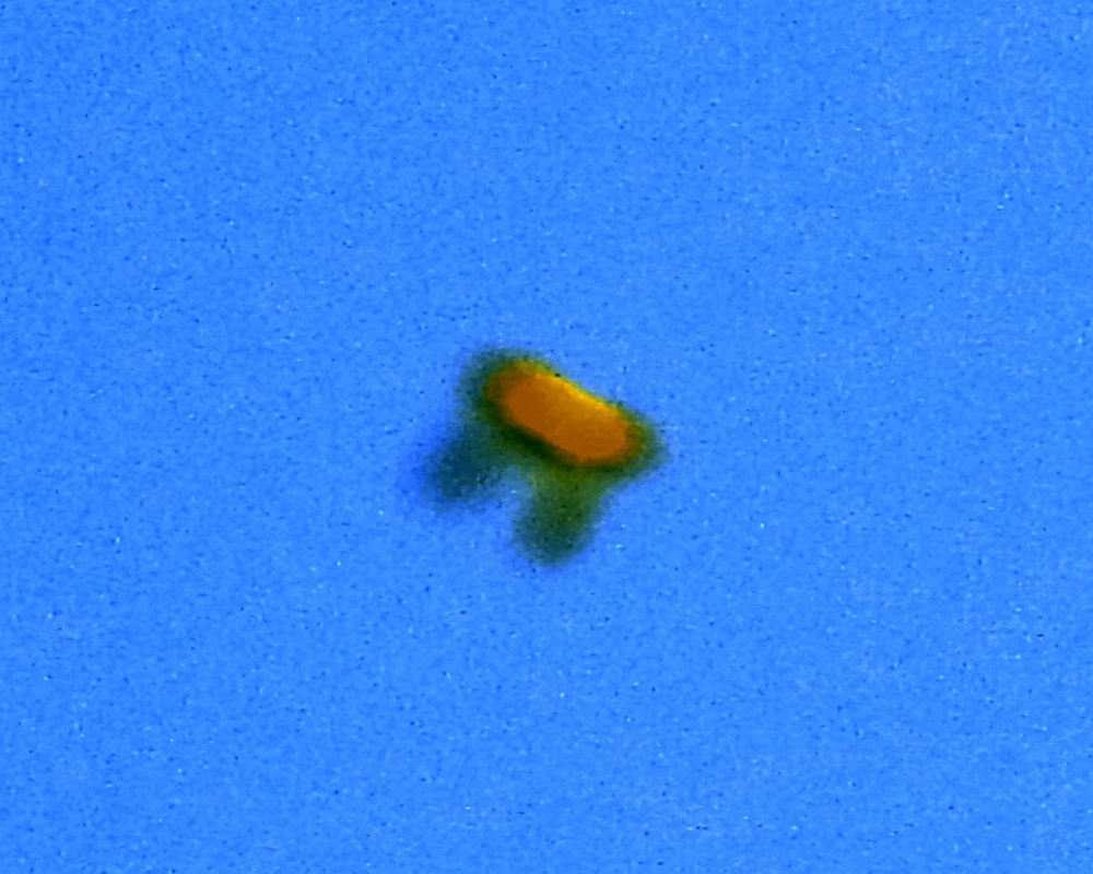 Bizarre Object Photographed I Was Sky Watching From My Open Bedroom