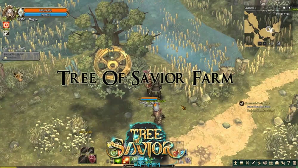 The best build way of the tree of savior farm | by tosgold | Medium