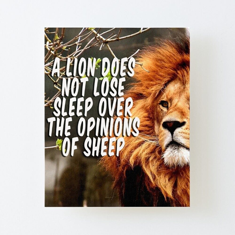 A lion never loses sleep over the opinions of sheep. | by JankiShree Om ...