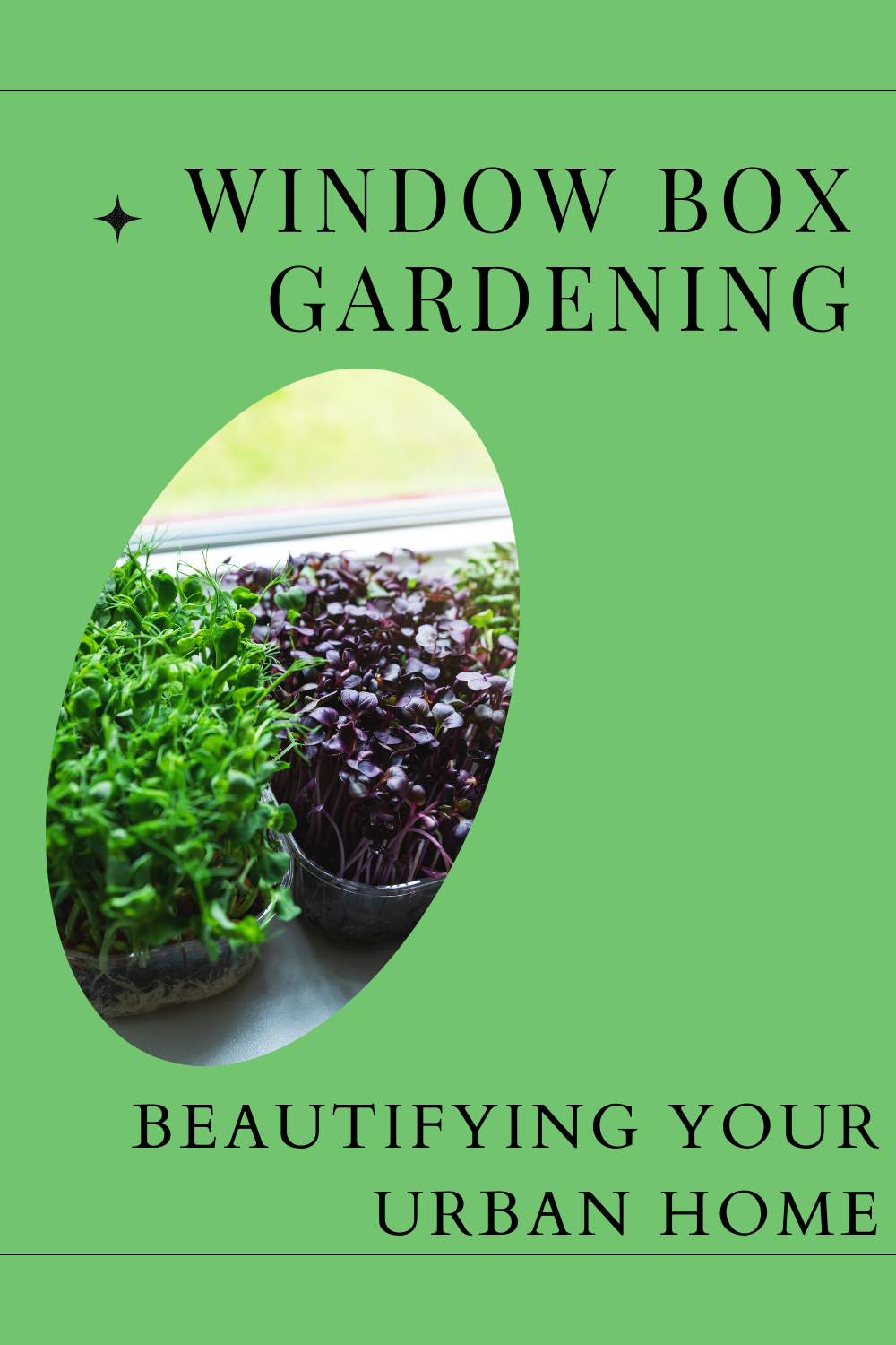 Window Box Gardening: Beautifying Your Urban Home | by Rianna Wilson ...