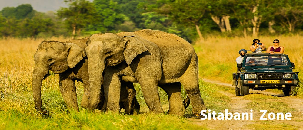 Sitabani Zone - Corbetttigerreserve Net - Medium